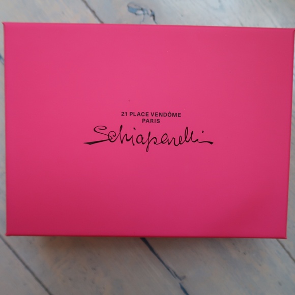 Schiaparelli | Shoes | Authentic Schiaparelli Pink Shoe Box Luxury ...